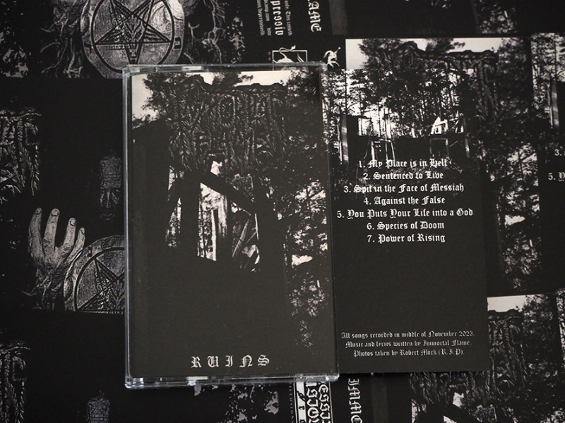 Immortal Flame - Ruins | Depressive Illusions Records